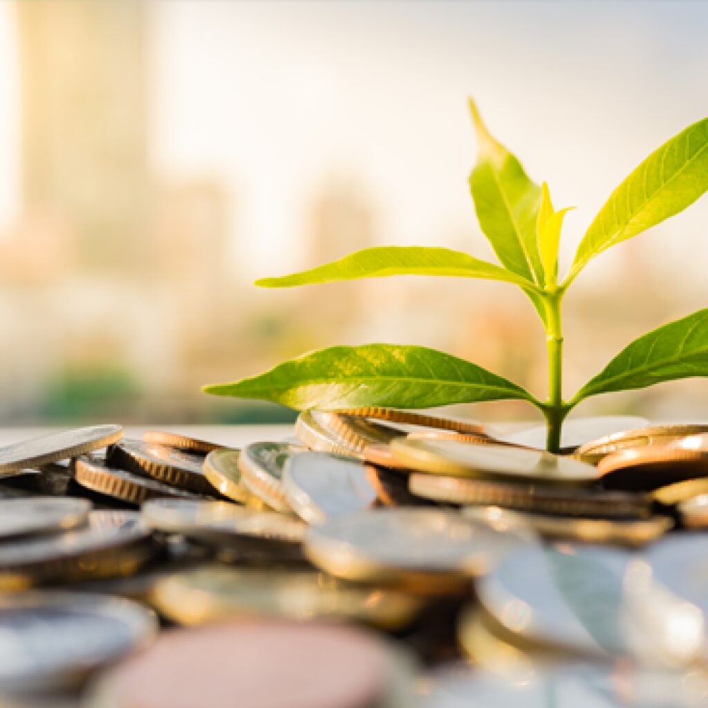 Gender Archives | Global Financial Literacy Excellence Center (GFLEC)