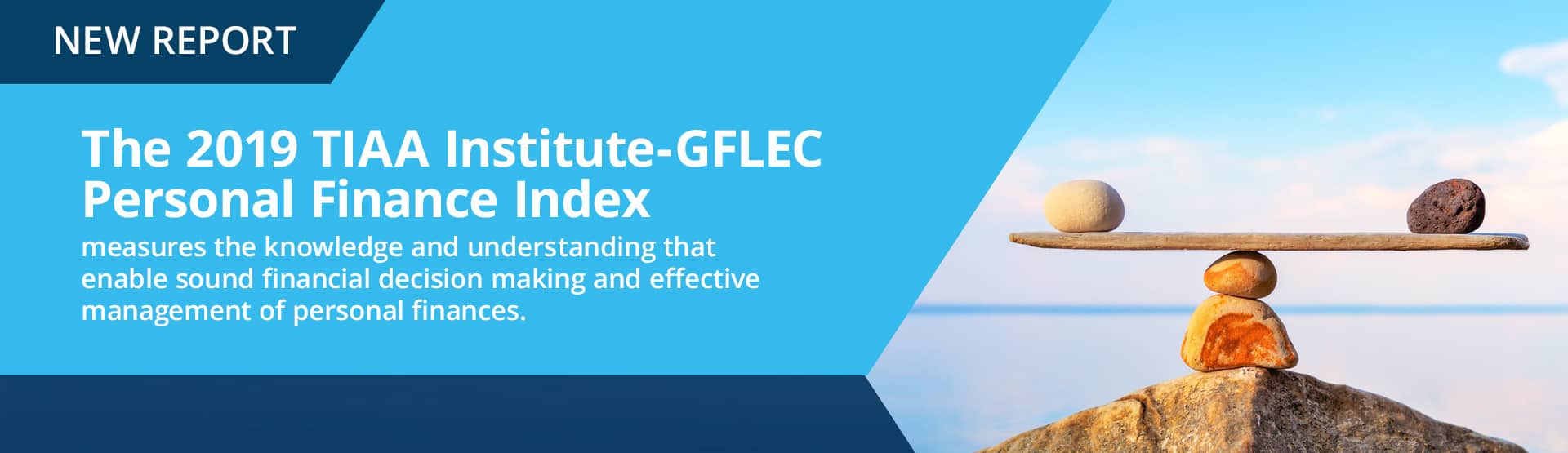 Global Financial Literacy Excellence Center (GFLEC)